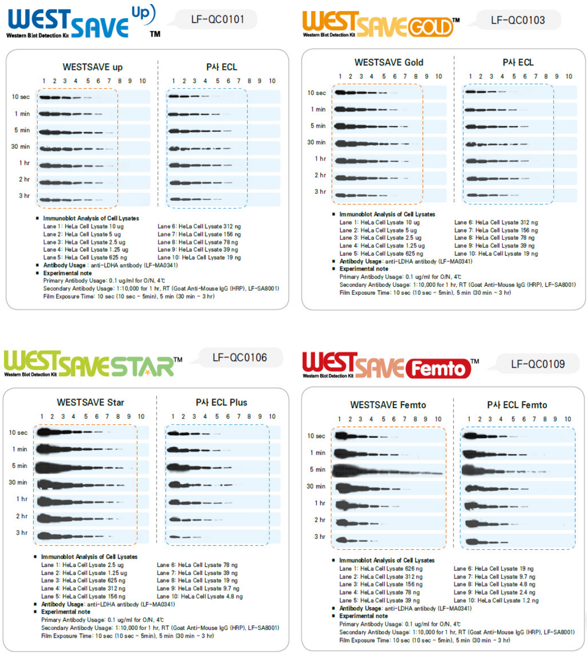 Westsaveup | Abfrontier